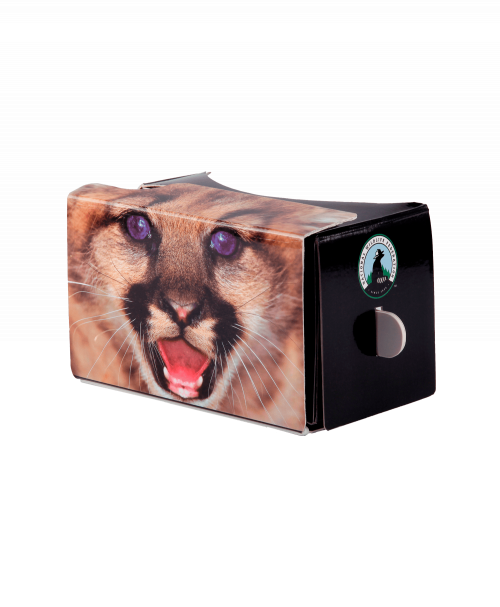 Custom Branded Google Cardboard | Maxbox VR