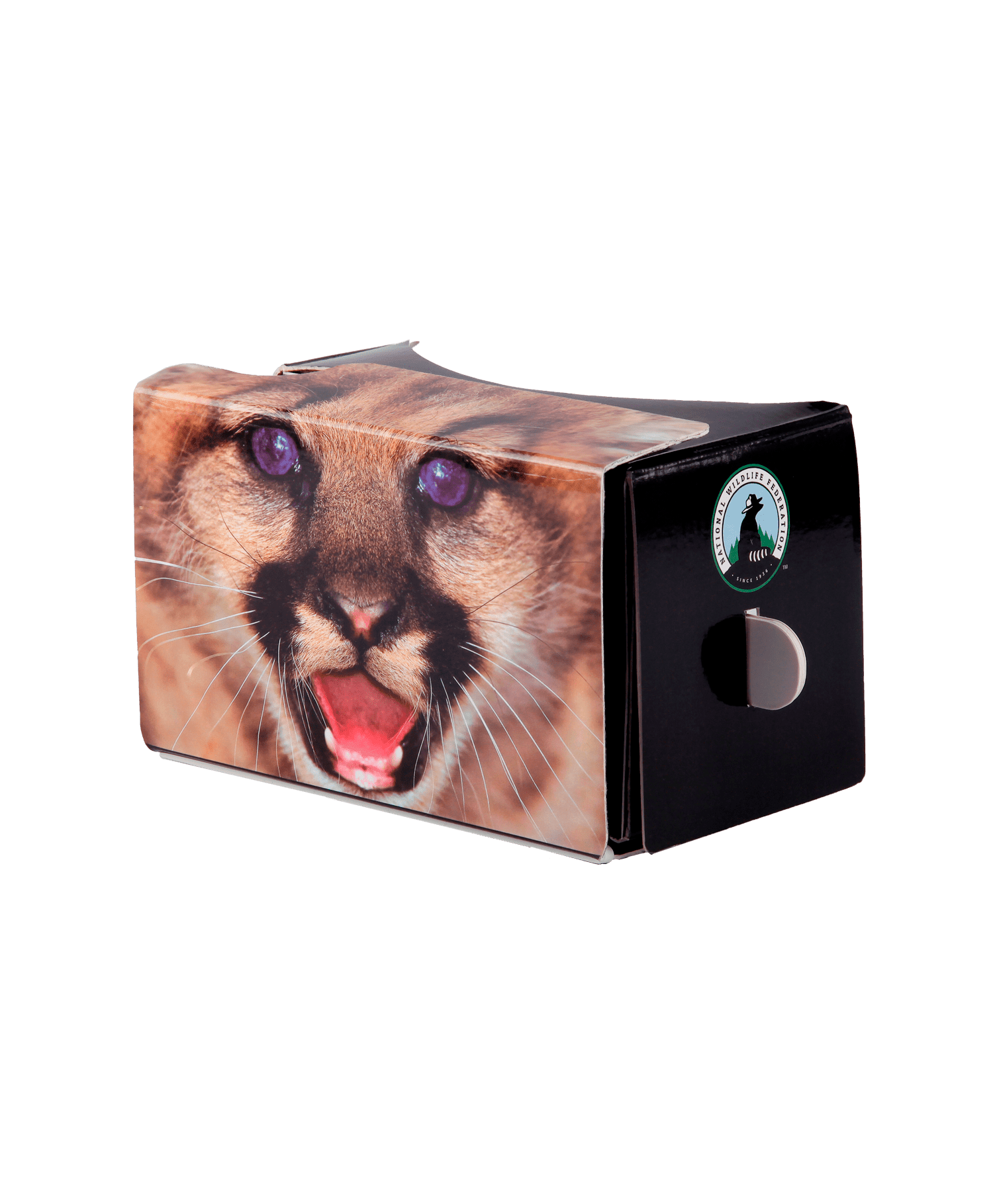 Custom Branded Google Cardboard | Maxbox VR