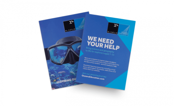 Inserts / leaflet | Maxbox VR